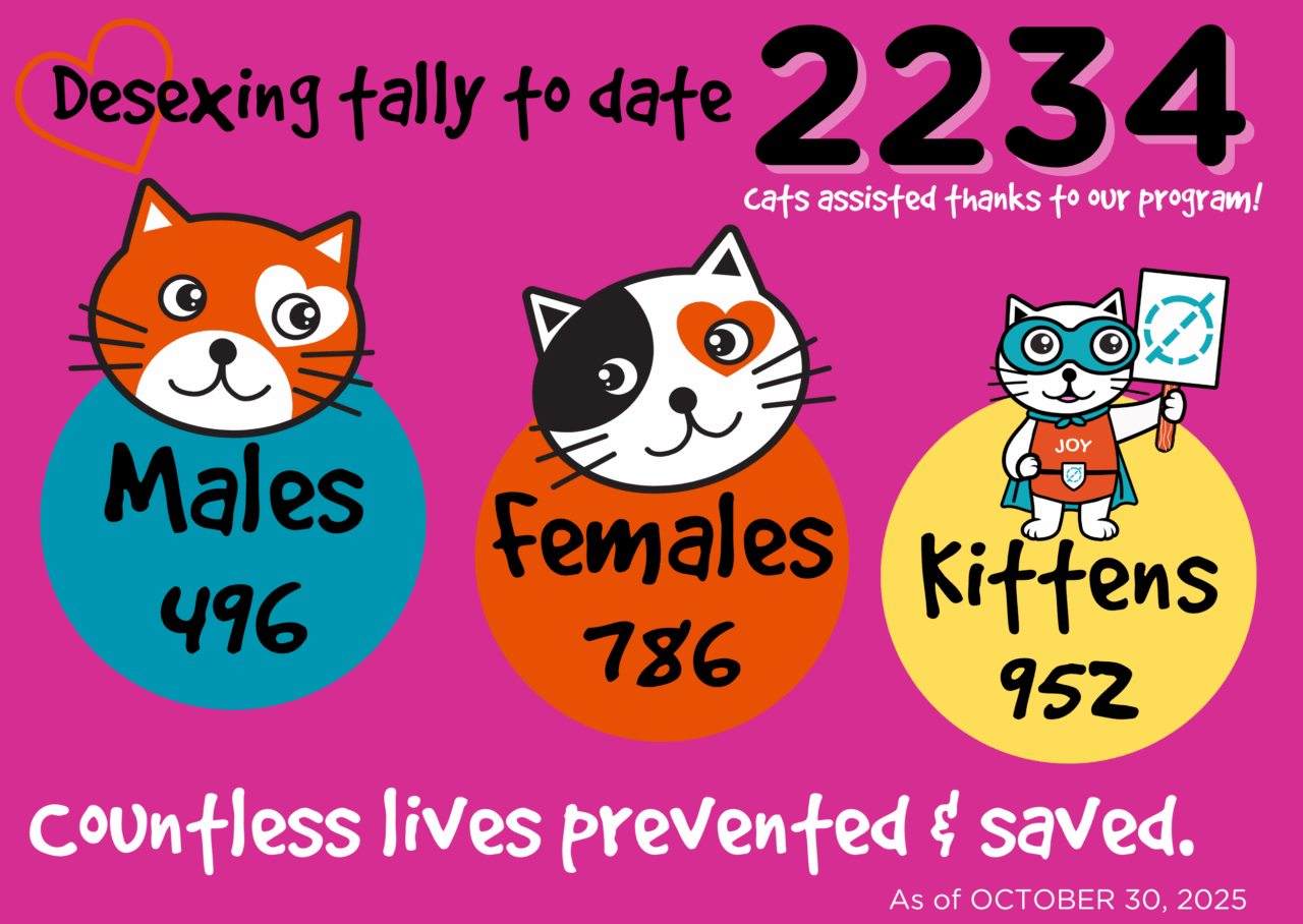 Donate | Project Meow