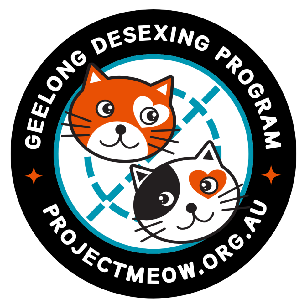 The Breeding Cycle of Cats Explained | Project Meow